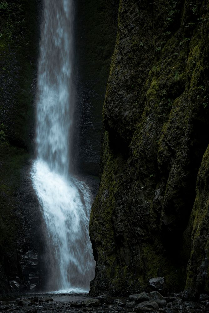 Oneonta Falls in Oregon, USA | Free Photo - rawpixel