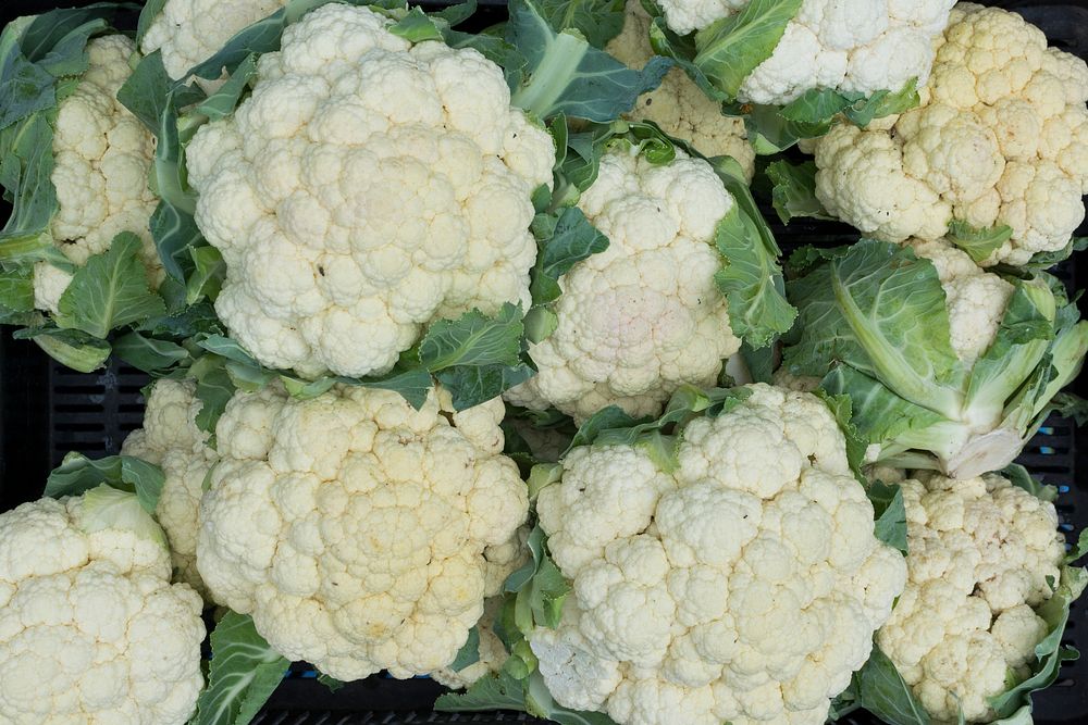 Closeup of cauliflower | Free Photo - rawpixel