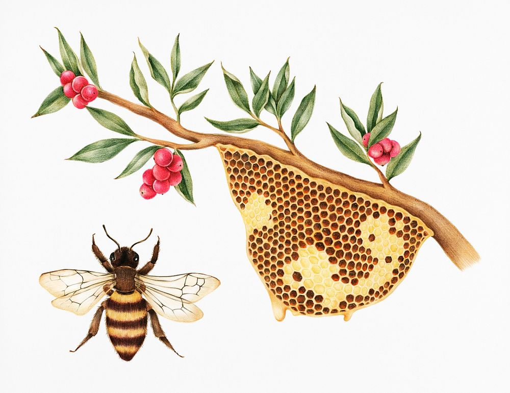 Illustration drawing style of bee | PSD Illustration - rawpixel