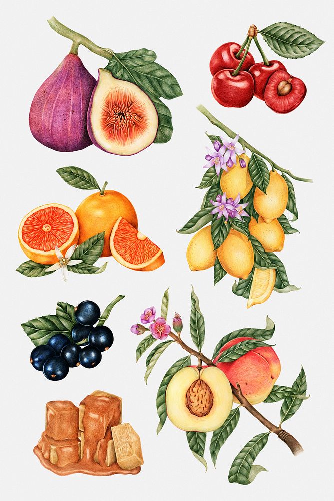 Hand drawn fruit sticker with a white | Premium PSD - rawpixel