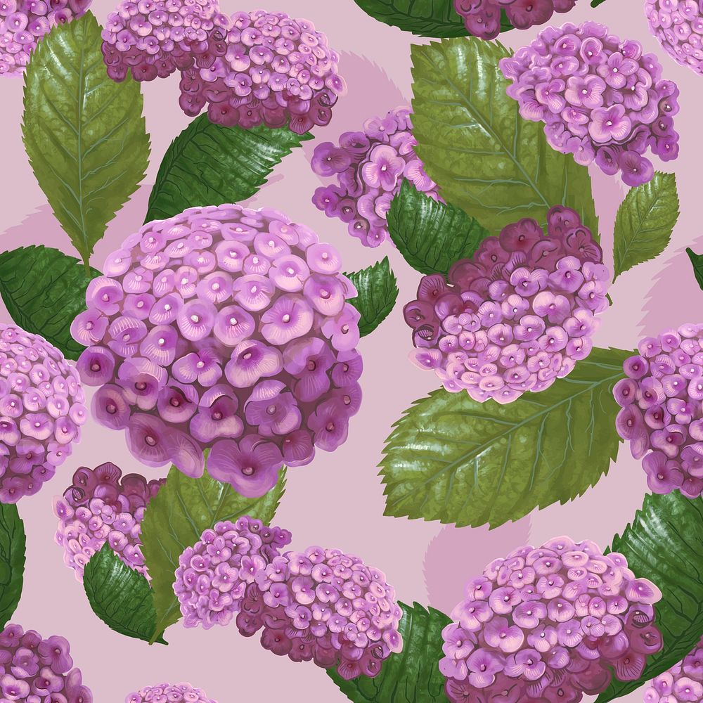 Illustration drawing of Hydrangea | Premium Photo - rawpixel