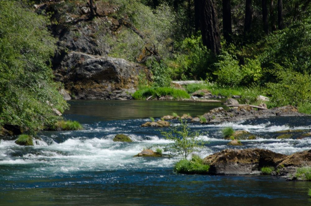 River recreation on the "Wild | Free Photo - rawpixel