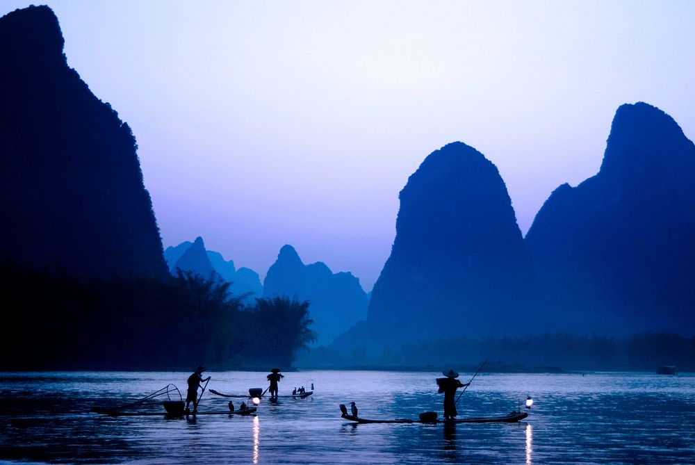 Cormorant fishing, Guilin, China | Premium Photo - rawpixel