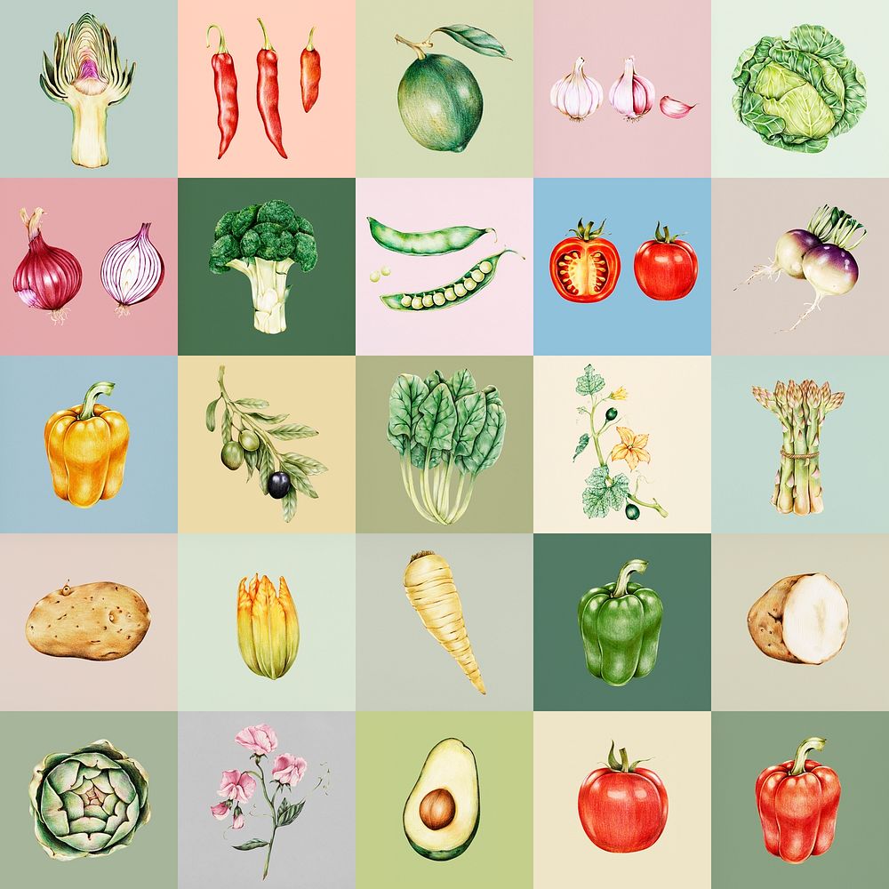 Hand drawn vegetables collection | Free Photo - rawpixel