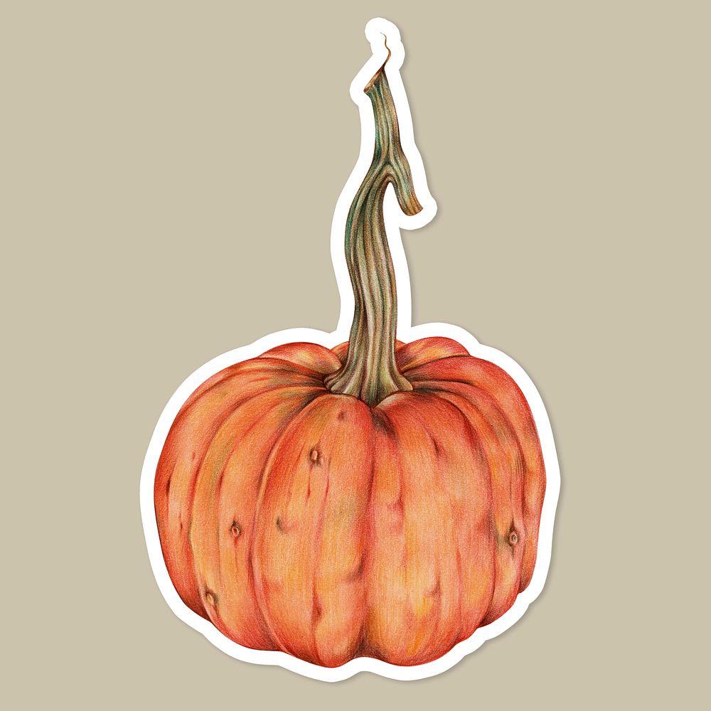 Pumpkin sticker psd organic botanical | Premium PSD - rawpixel