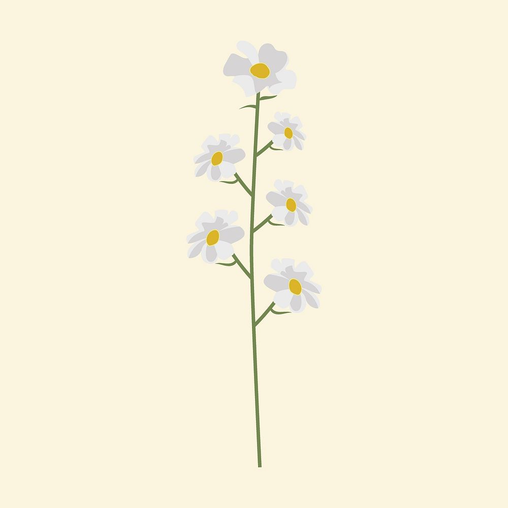 Daisy minimal wildflower illustration | Free Photo - rawpixel