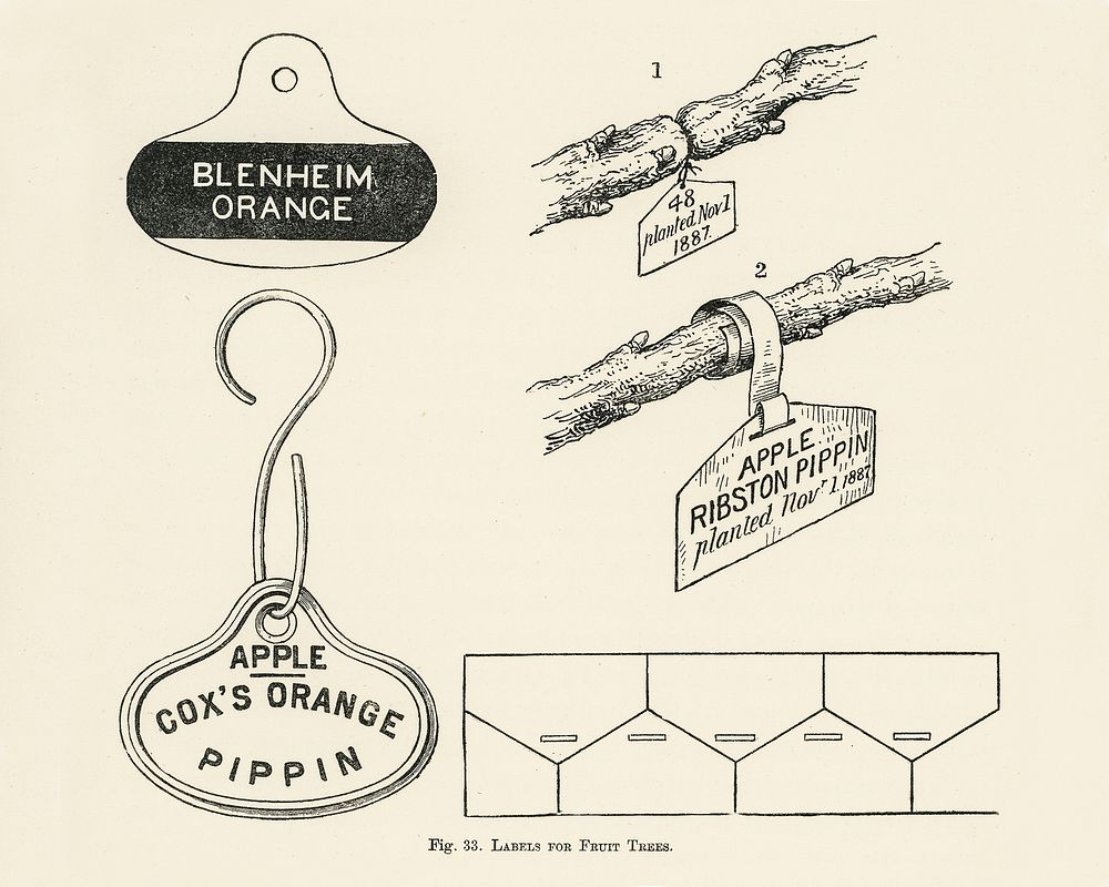The fruit grower's guide : | Premium Photo Illustration - rawpixel