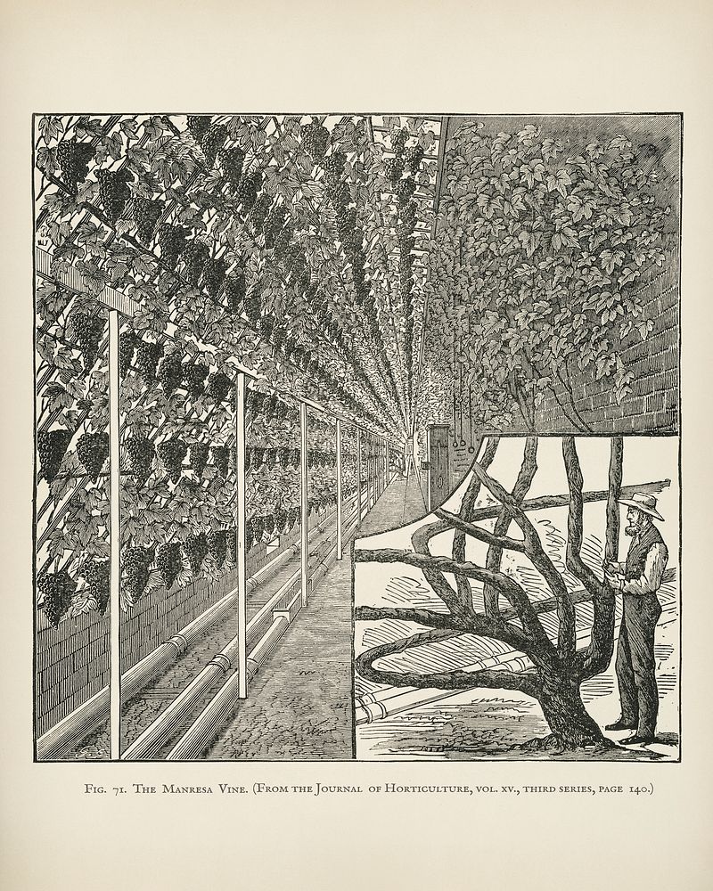 The fruit grower's guide : | Premium PSD Illustration - rawpixel