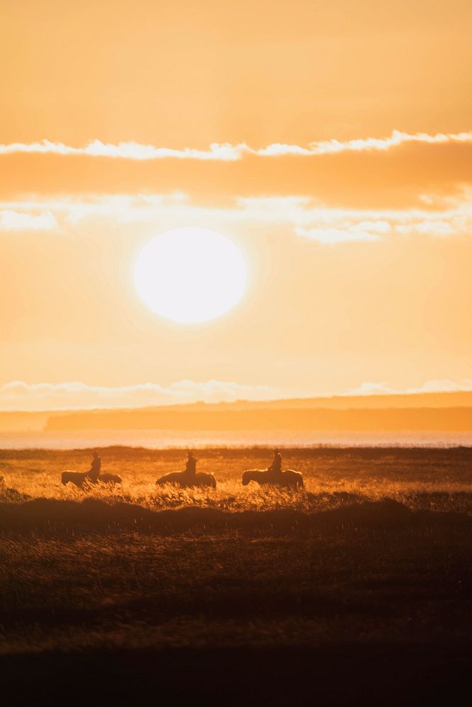 Trail riding in Iceland at sunset | Premium Photo - rawpixel