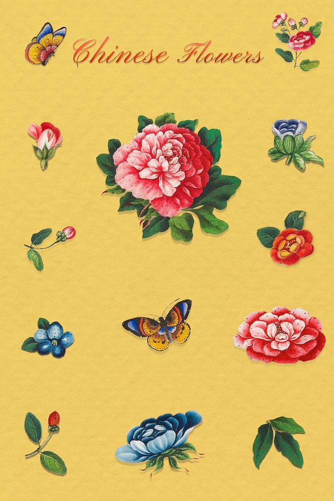Beautiful vintage Chinese flower illustrations | Premium PSD - rawpixel