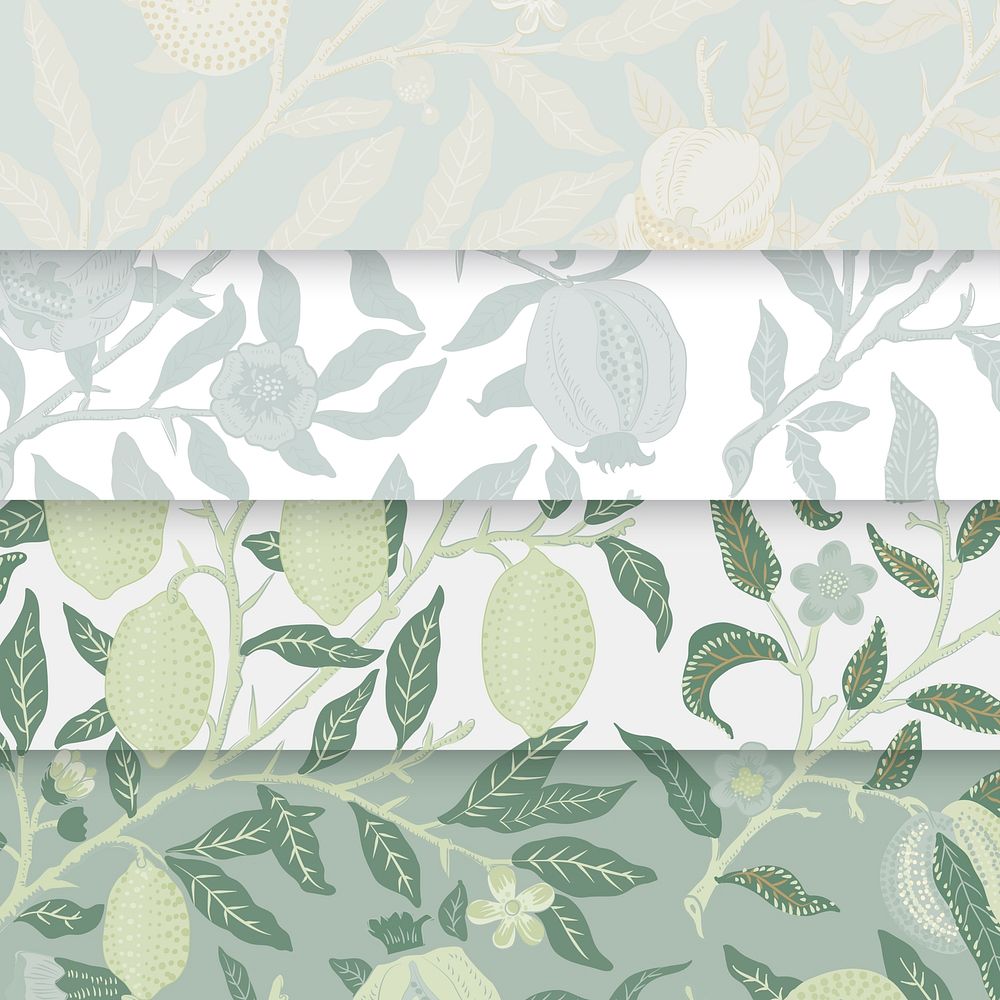 Vintage Illustration of Fruit or | Premium Vector - rawpixel