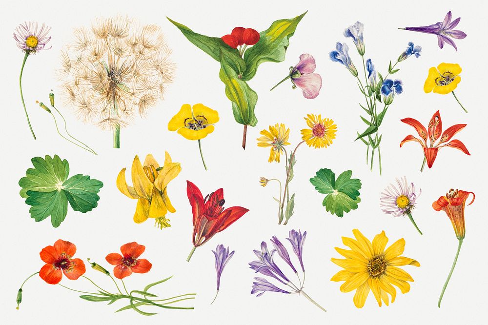 Psd blooming flowers illustration drawing | Premium PSD - rawpixel