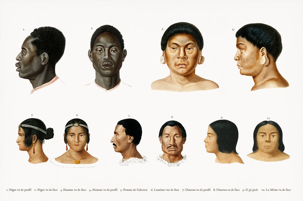 Human race illustrated by Charles | Premium Photo - rawpixel