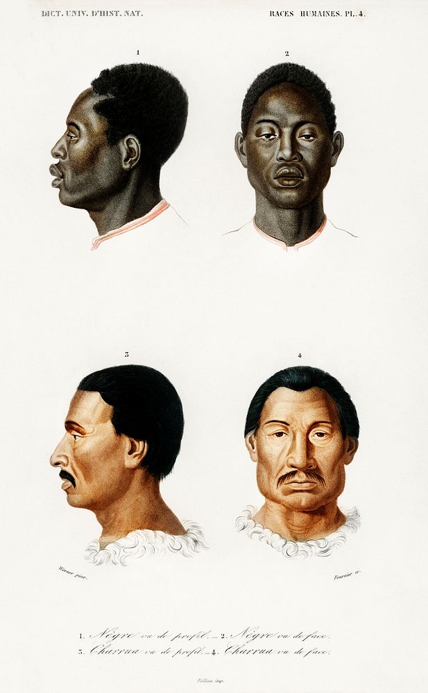 Human race illustrated by Charles | Free Photo Illustration - rawpixel