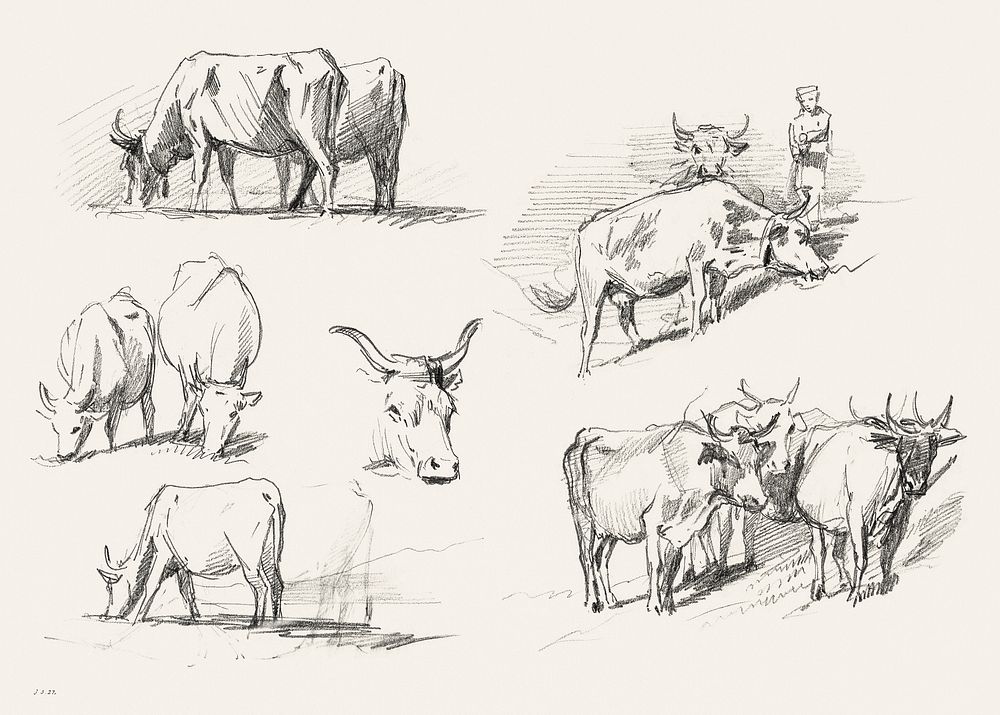 Studies of Cattle (ca. 1872) | Free Photo Illustration - rawpixel