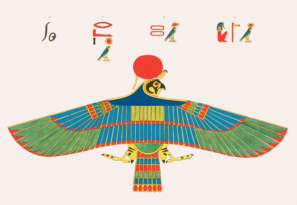 Hawk, emblem of Ra illustration | Free Photo Illustration - rawpixel