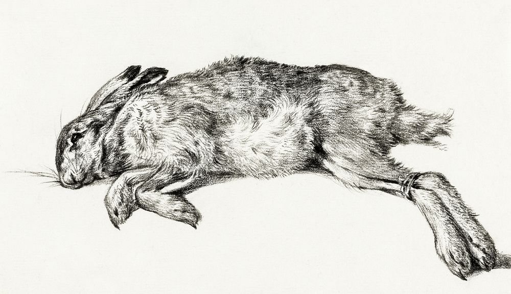 Dead hare (1818) by Jean | Free Photo Illustration - rawpixel