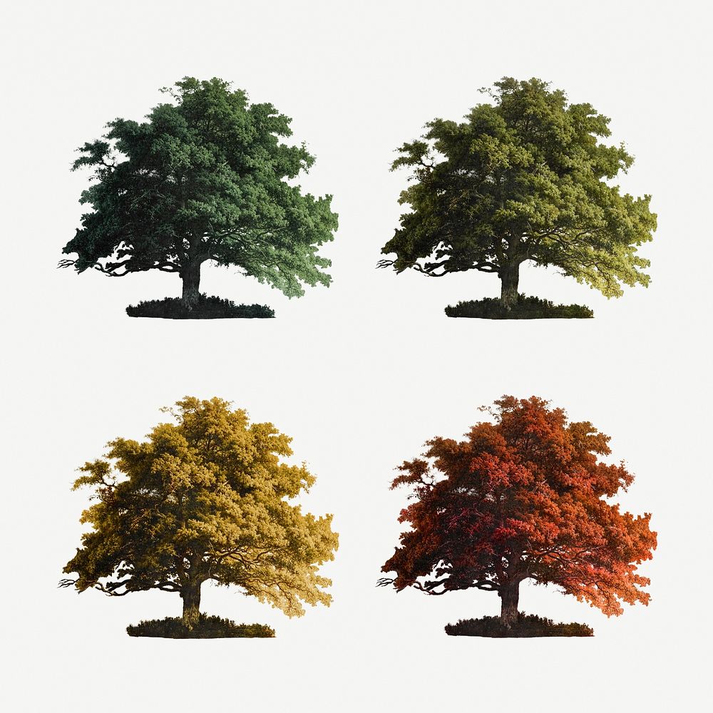 Set of vintage oak trees | Premium PSD - rawpixel