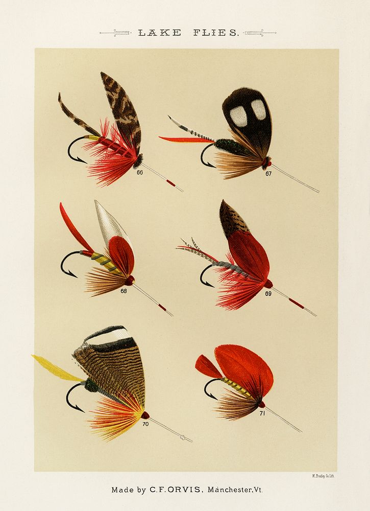 Lake Flies. Digitally enhanced | Free Photo Illustration - rawpixel