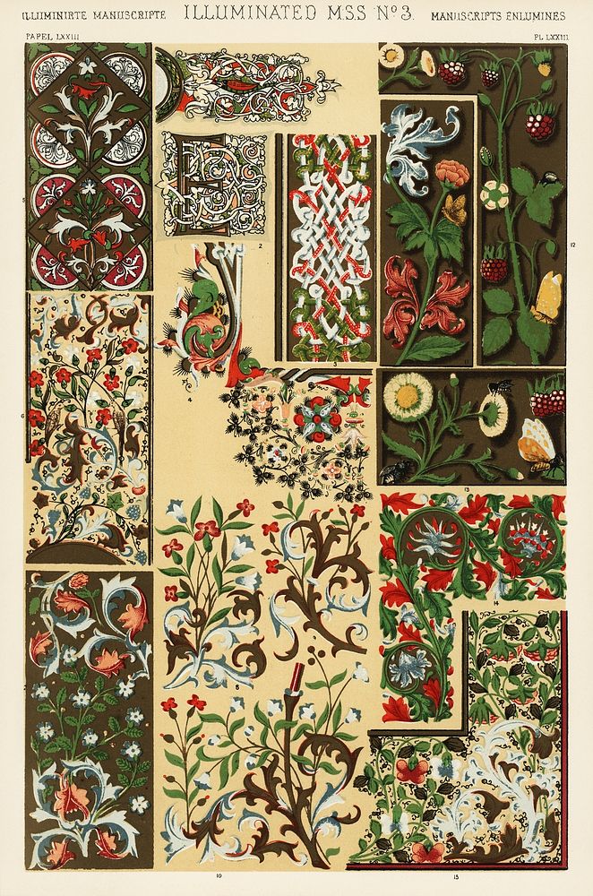 Vintage pattern illustration. Digitally enhanced | Free Photo ...