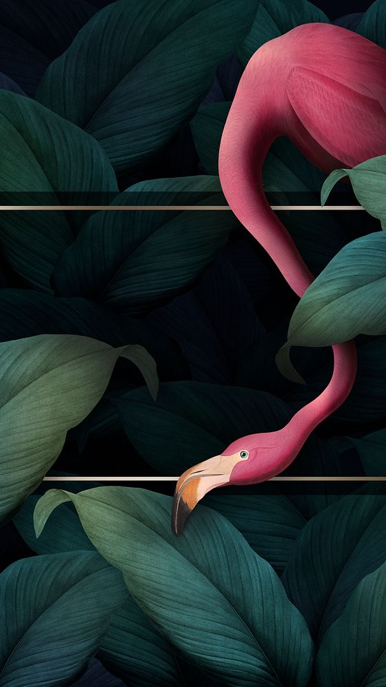 Tropical flamingo on a golden | Free Photo - rawpixel