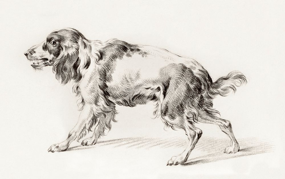 Standing barking dog (1823) drawing | Free Photo Illustration - rawpixel