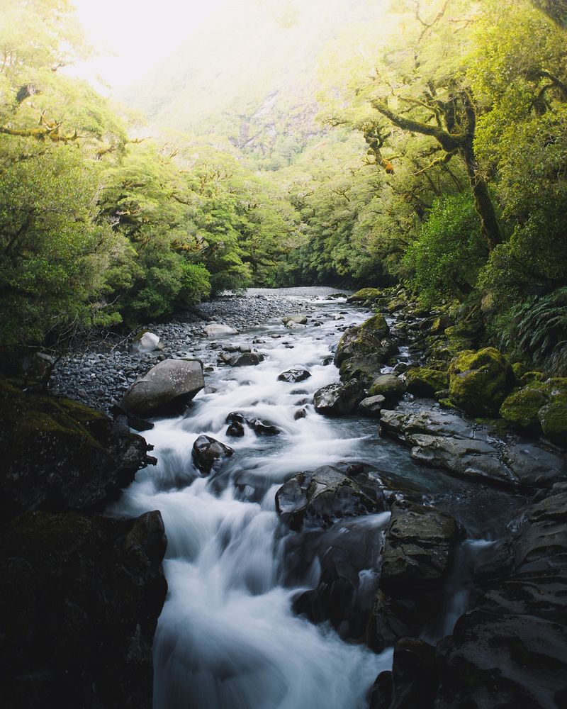 Beautiful view of a stream | Premium Photo - rawpixel