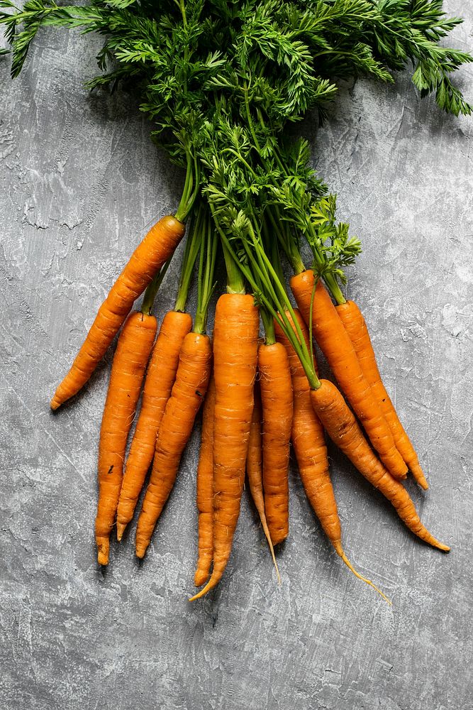 Fresh organic bunch of carrots | Premium Photo - rawpixel