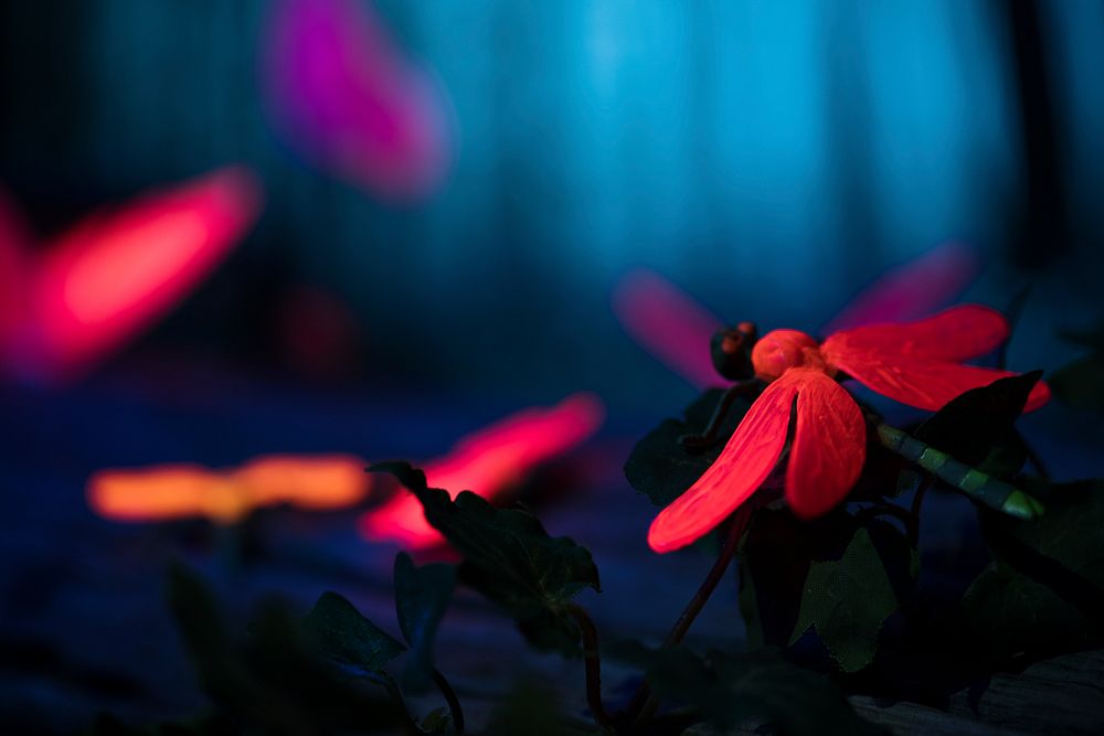 Glowing insects in the night | Free Photo - rawpixel