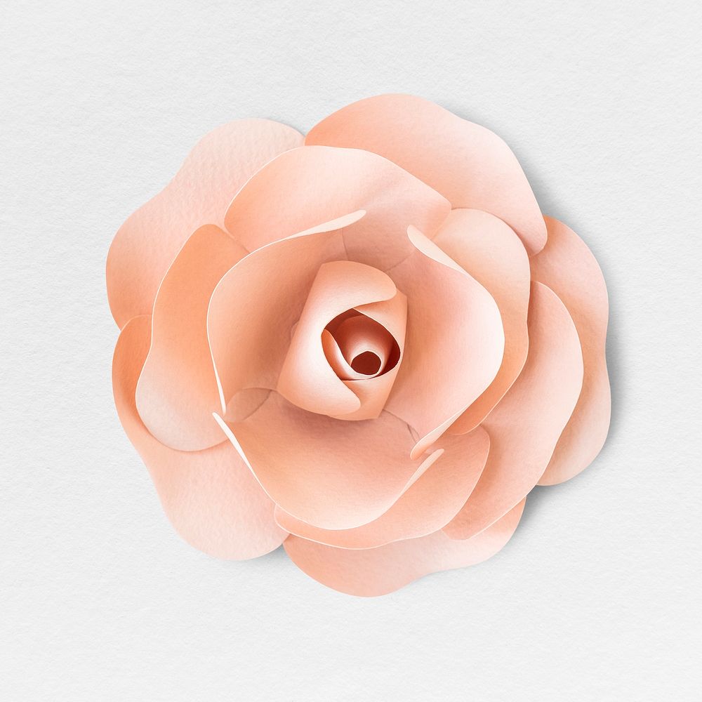Light pink rose flower paper | Premium PSD - rawpixel