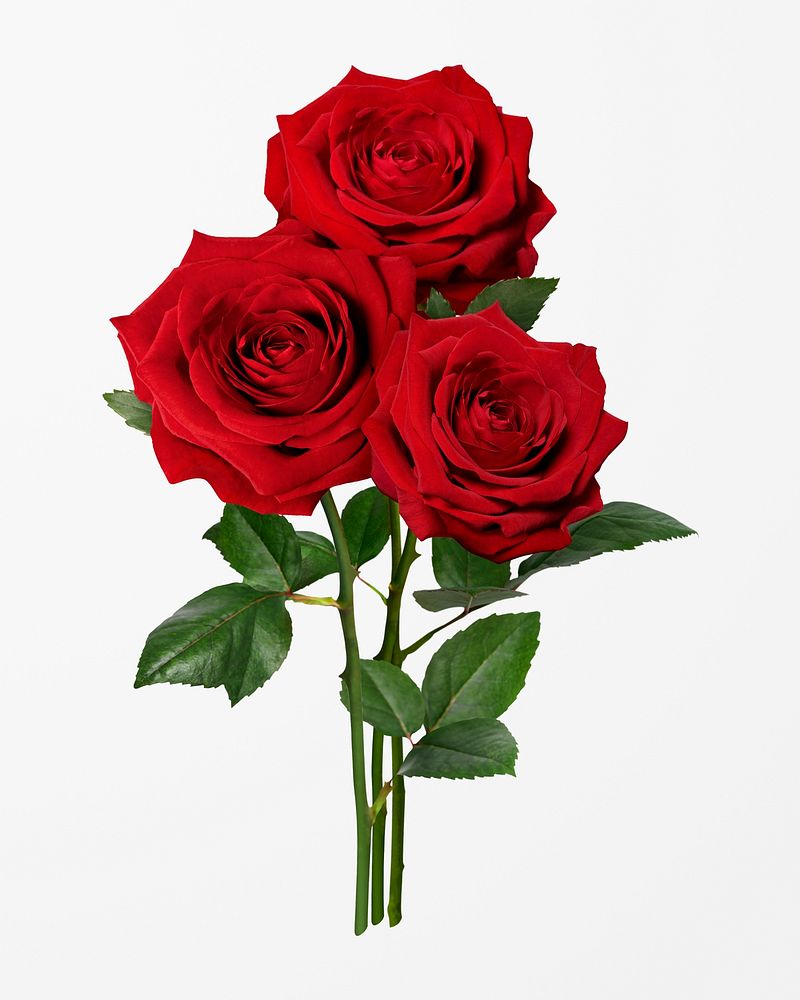 Red roses, collage element psd | Free PSD - rawpixel