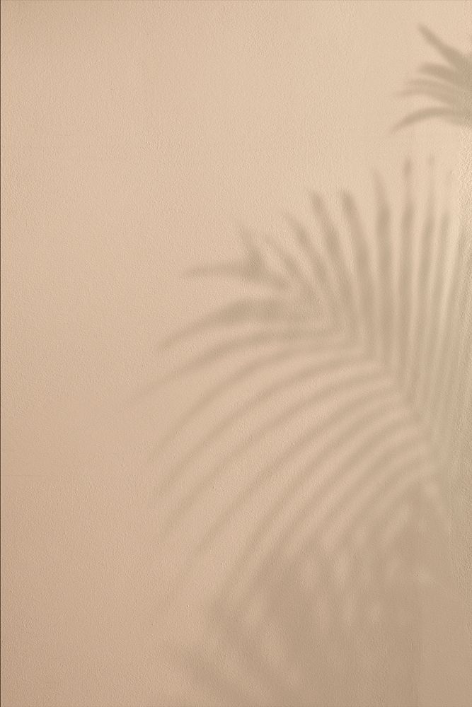 Shadow of leaves on a wall | Premium PSD - rawpixel