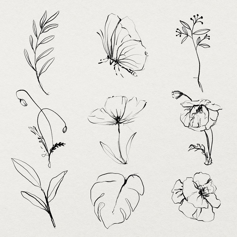 Flower line art illustration psd | Premium PSD - rawpixel