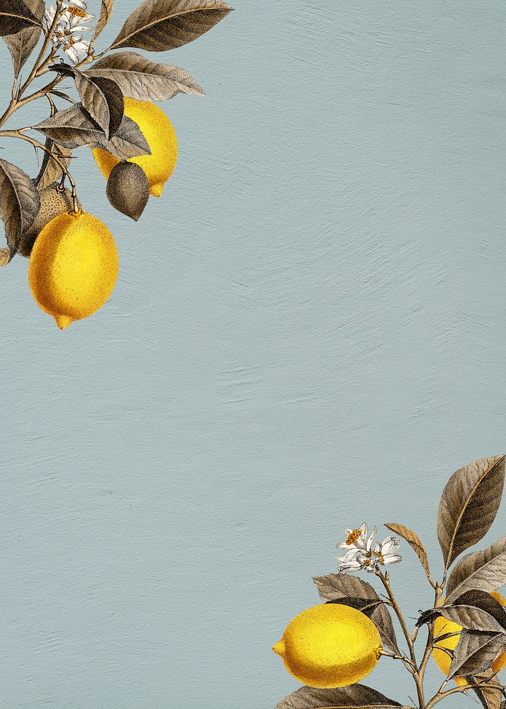 Tropical lemon on a blue | Premium Photo - rawpixel
