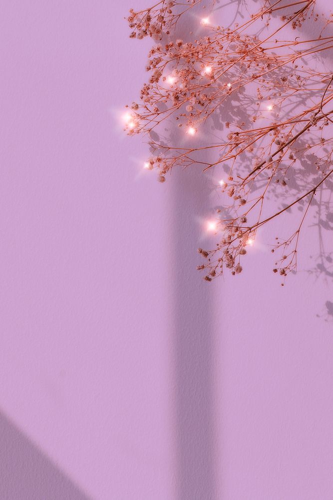 Dried flower window shadow floral | Free Photo - rawpixel