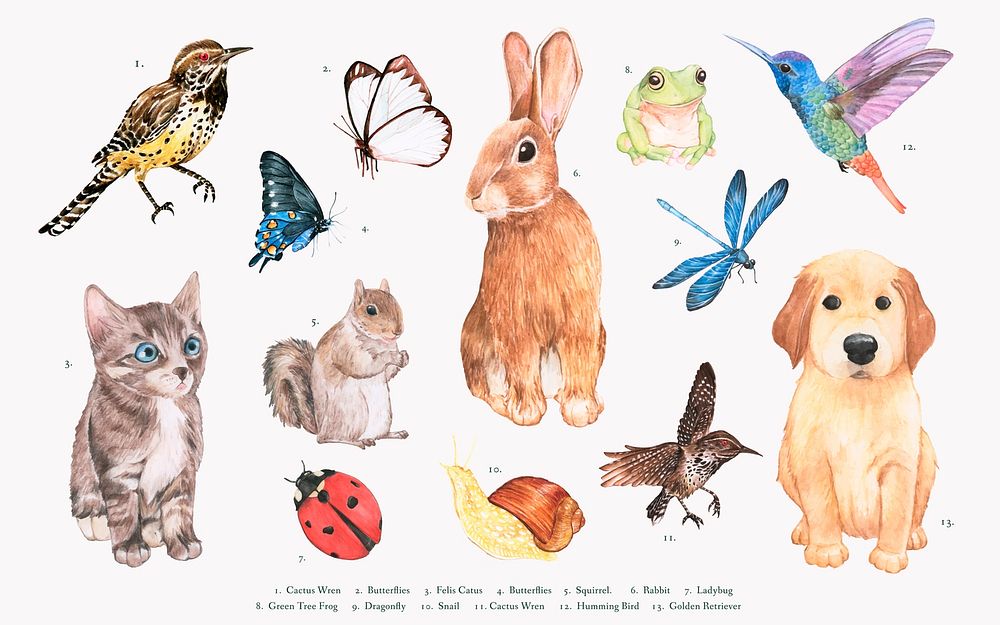 Hand drawn animal set | Premium Vector - rawpixel