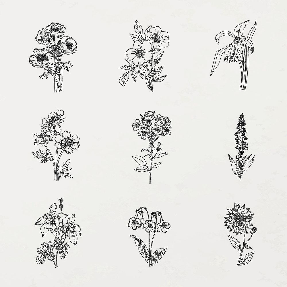 Aesthetic flower sticker line art, | Premium Vector - rawpixel