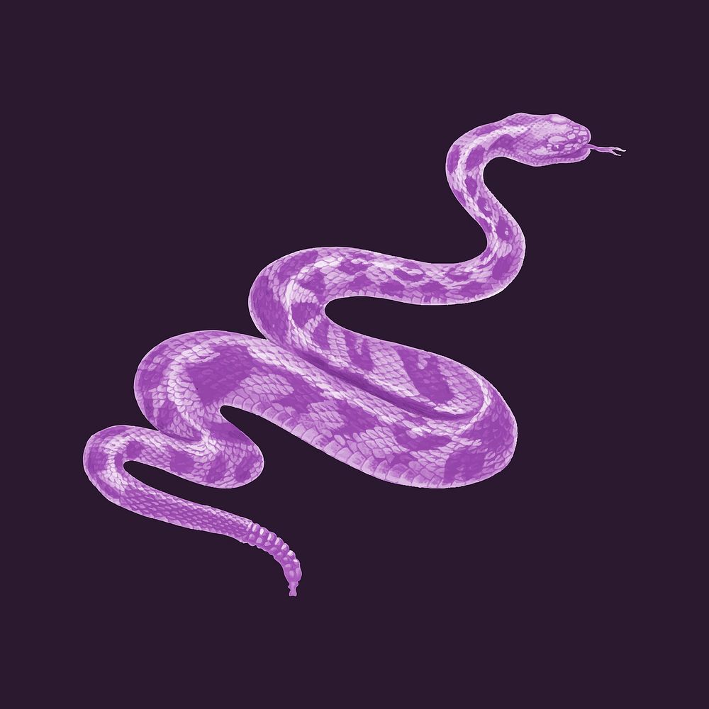 Purple snake collage element, tropical | Free Vector - rawpixel