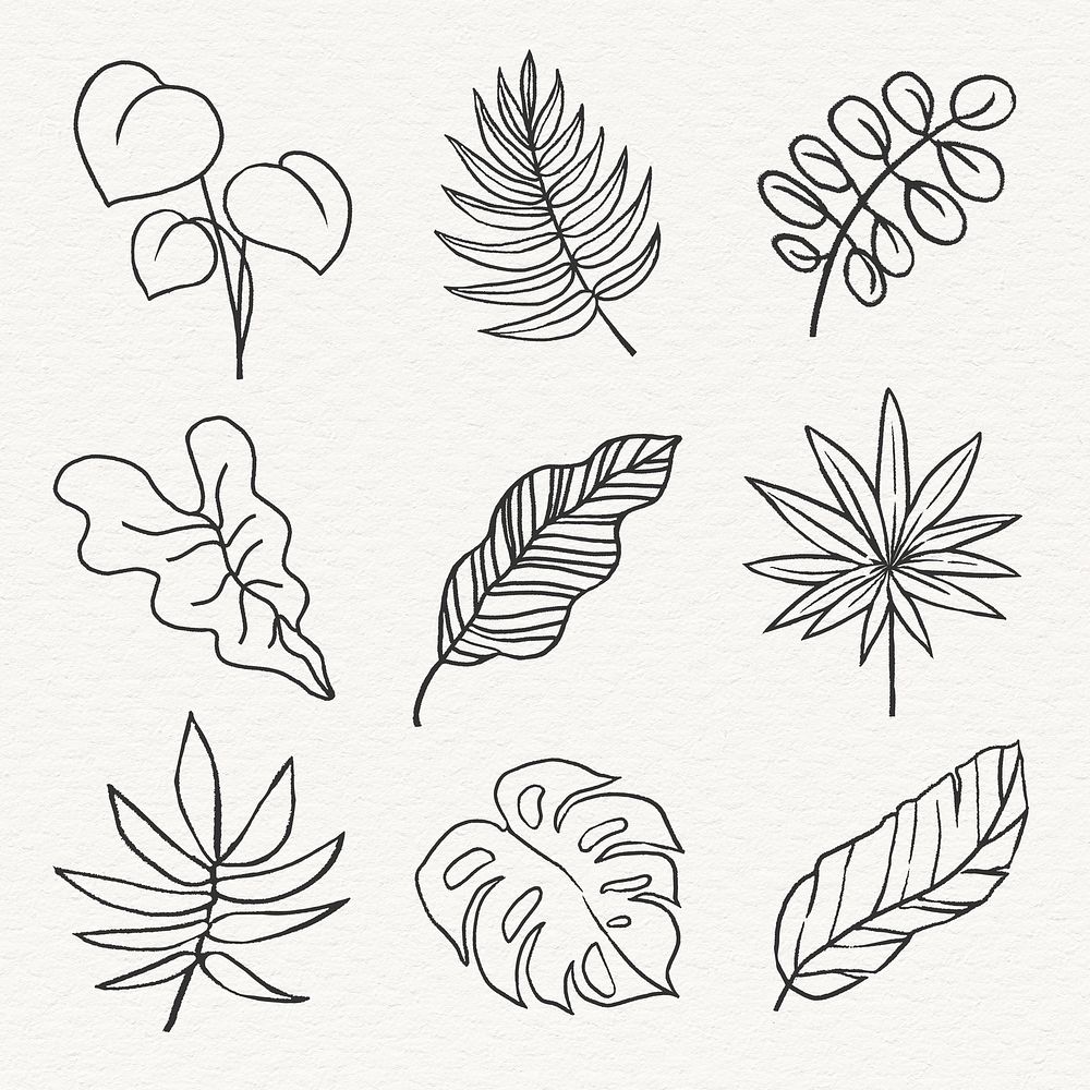 Simple leaf line art collage | Premium PSD - rawpixel