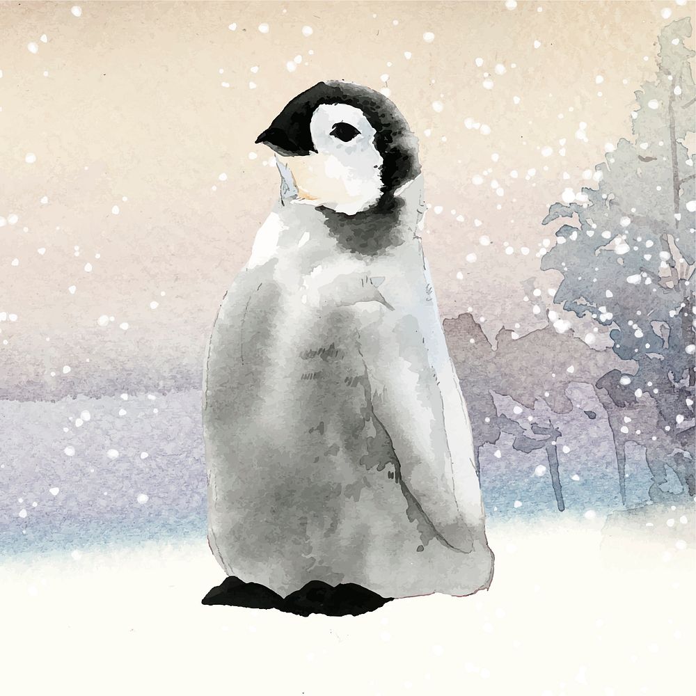 Young emperor penguin in the snow | Free Vector Illustration - rawpixel