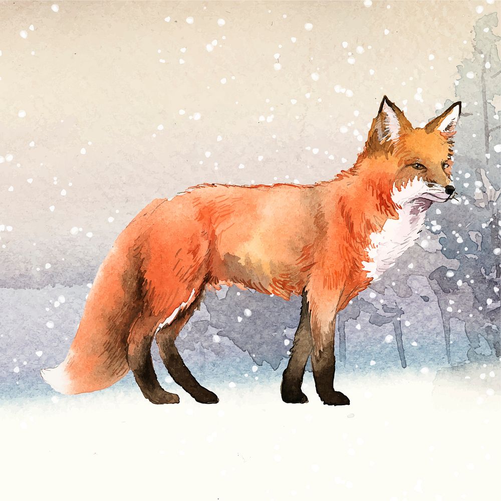 Hand-drawn fox in the snow | Free Vector Illustration - rawpixel