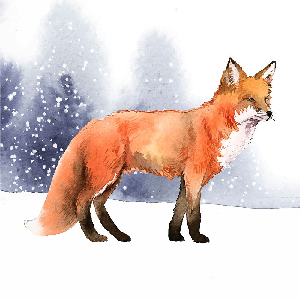 Hand-drawn fox in the snow | Free Vector Illustration - rawpixel