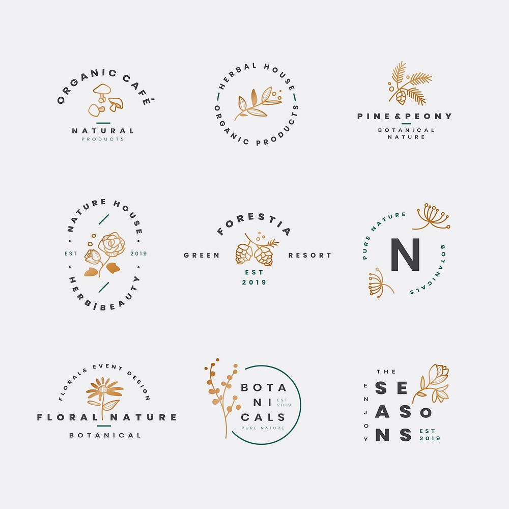 Set of floral botanical vectors | Premium Vector - rawpixel