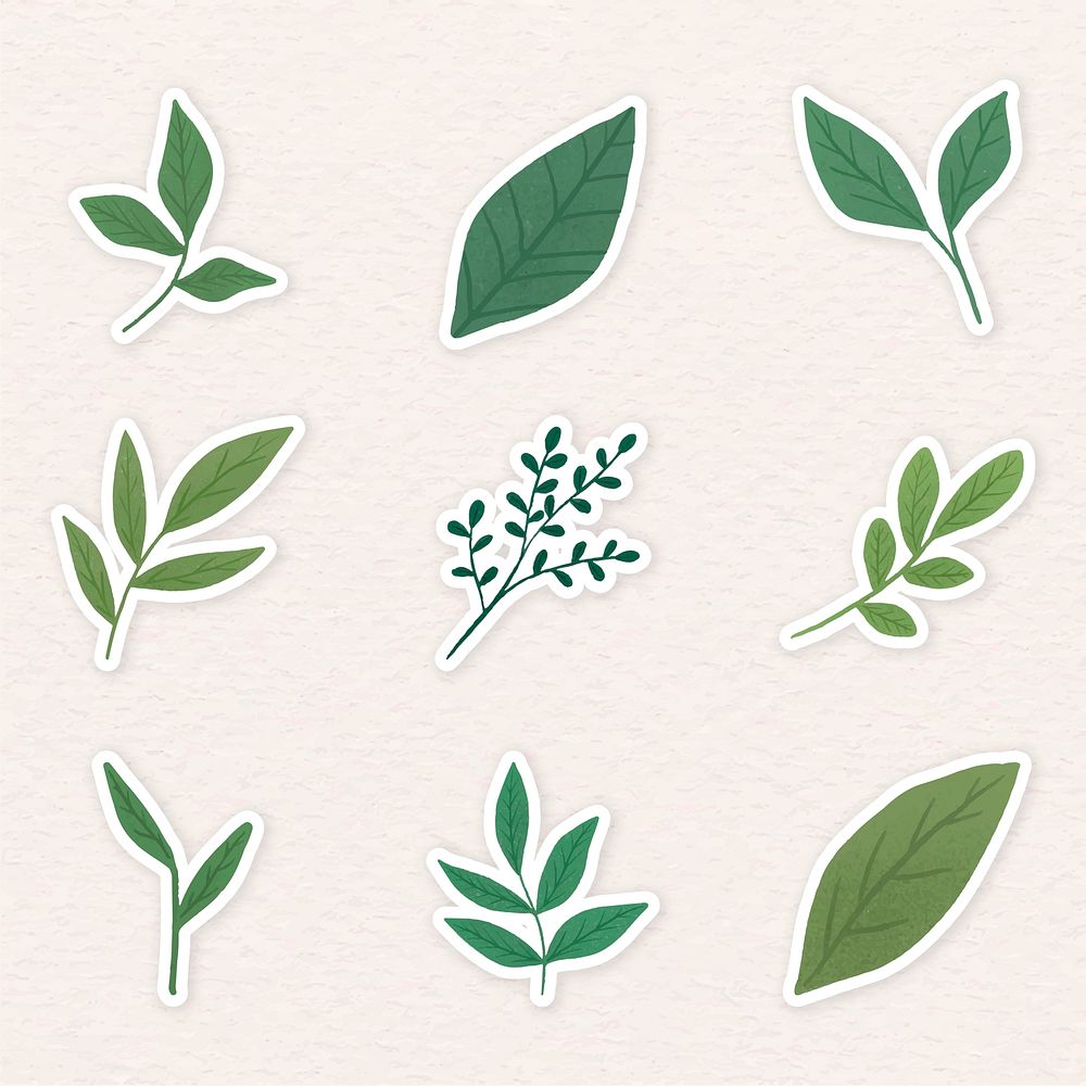 Green leaves sticker collection illustration | Premium PSD - rawpixel