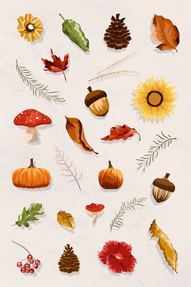 Autumn design elements vector set | Premium Vector - rawpixel