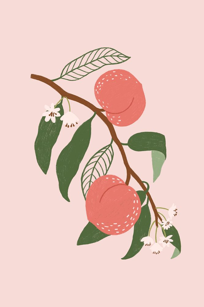 Hand drawn peach design resource | Premium PSD Illustration - rawpixel