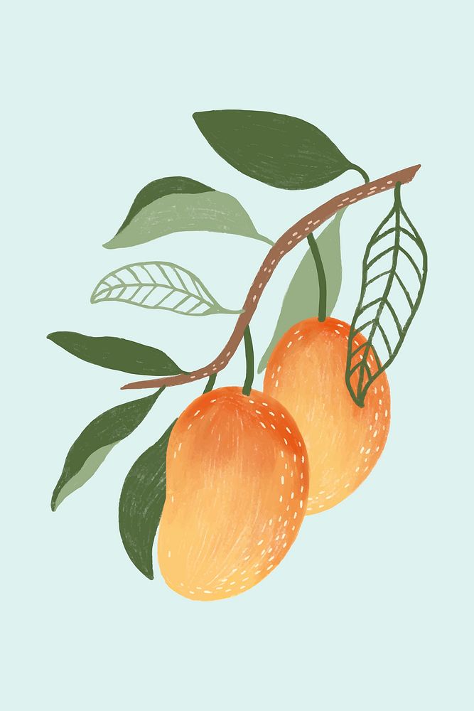Hand drawn mango design resource | Premium Vector Illustration - rawpixel