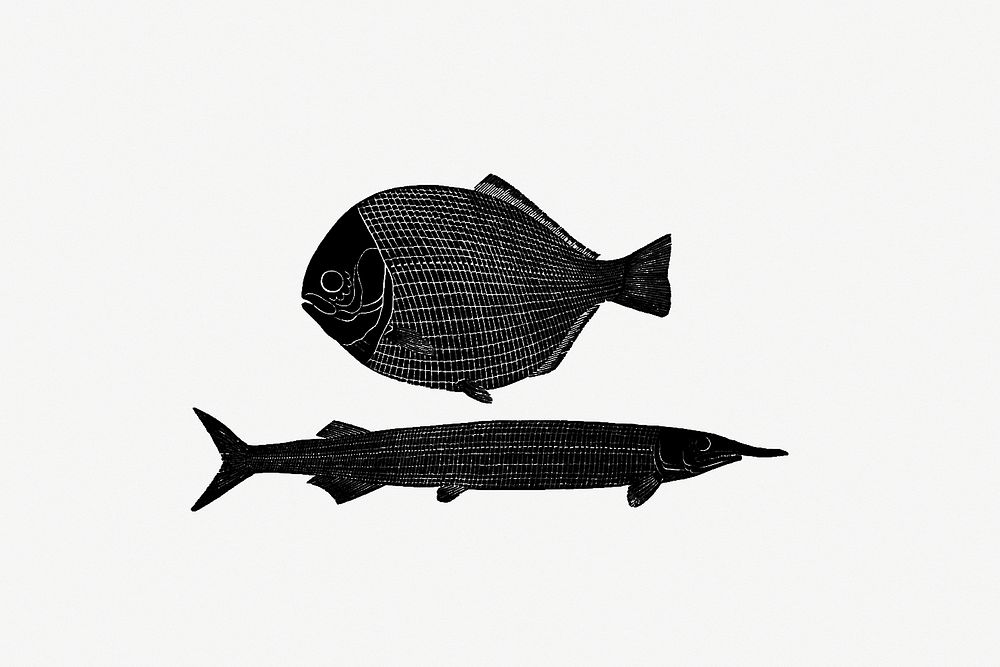Fish from Manual Of Geology, | Free Photo Illustration - rawpixel