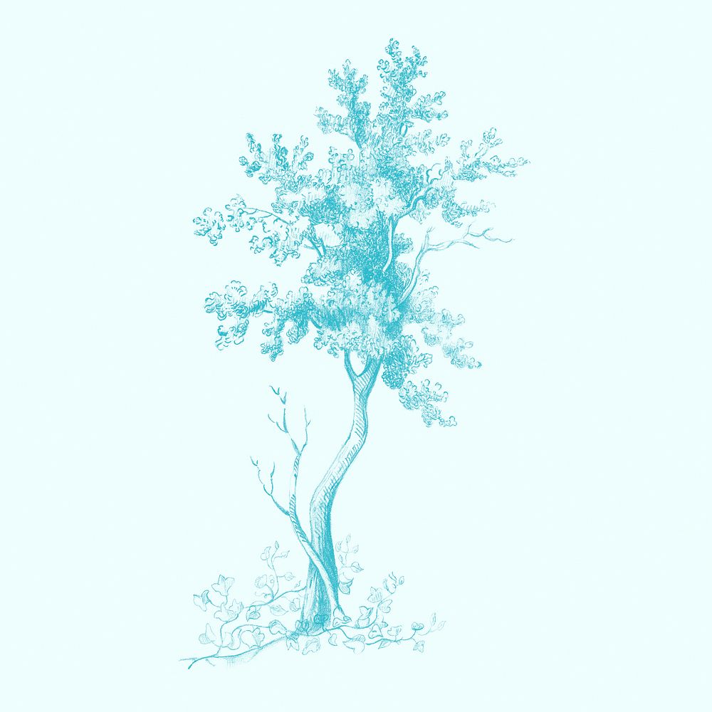 Vintage tall tree drawing illustration | Premium PSD Illustration ...