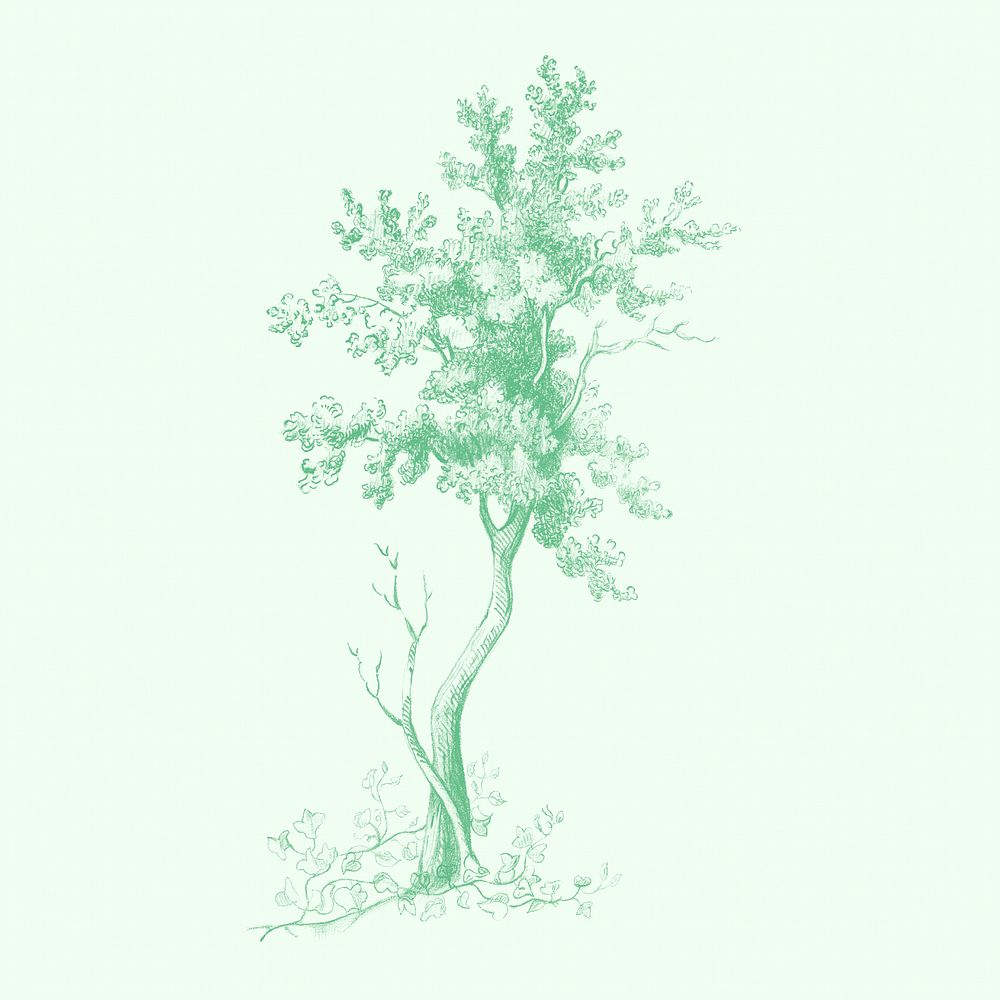 Vintage tall tree drawing illustration | Premium PSD Illustration ...